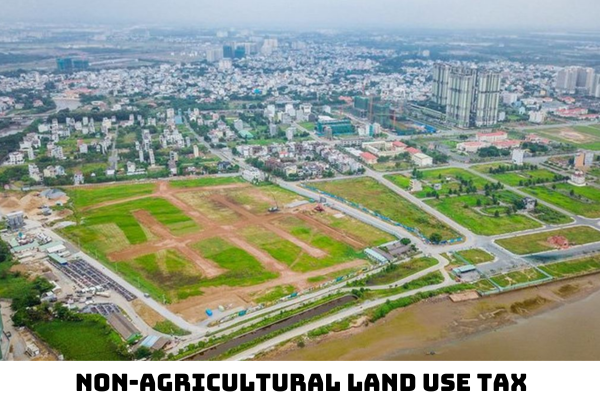 Vietnam: What is the newest non-agricultural land use tax declaration ...