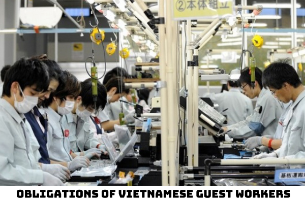 What are the obligations of Vietnamese guest workers?