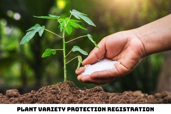 What is the latest application form for plant variety protection ...
