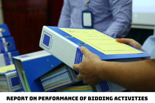 From June 15, 2024, what is the report template on performance of ...