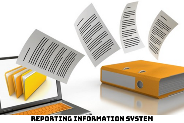 What are the functions and the operational principles of the reporting ...