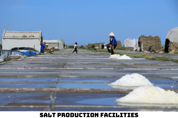 Vietnam: What are the procedures for assessing food safety criteria for ...