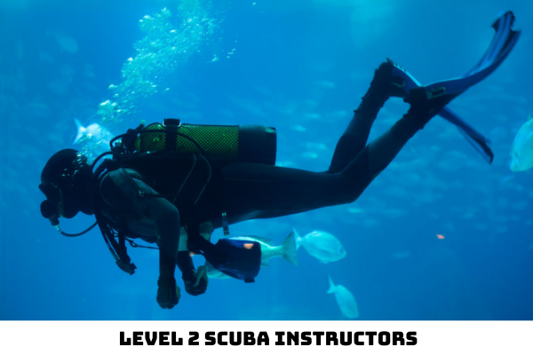 Under Vietnam Standard TCVN 13553-2:2022, what are the requirements for scuba instructor ...