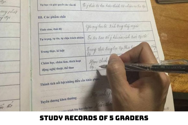 Vietnam: What are the newest sample feedbacks in the study records of 5 ...