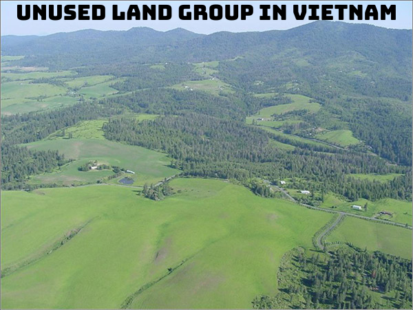 Vietnam: Is it possible to transfer unused land to agricultural land ...